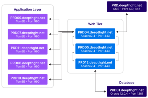CMDB Visualization: Best Practices With Examples
